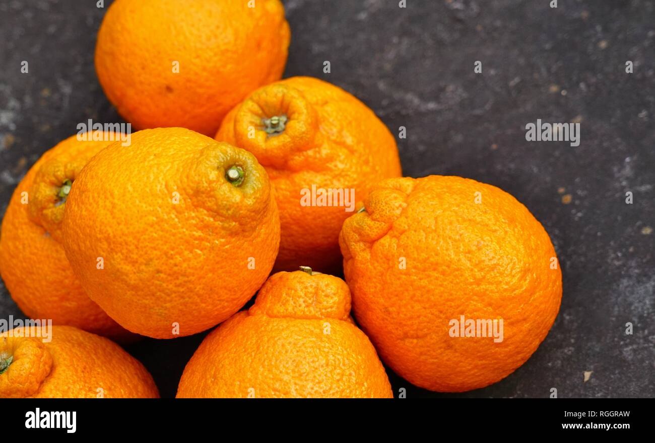 Sumo citrus giant mandarin orange fruit Stock Photo - Alamy