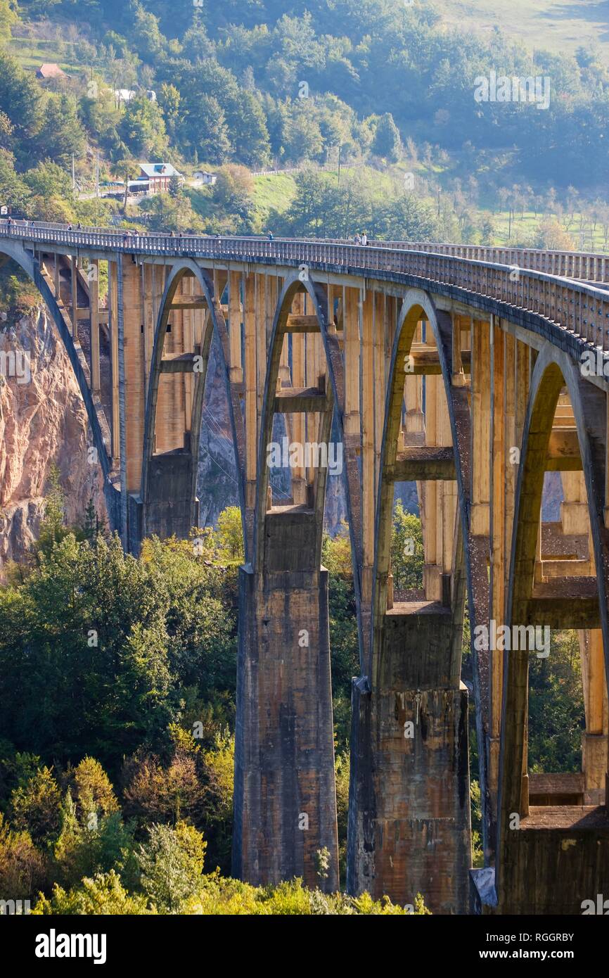 Tara Bridge, Durdevica, Tara Gorge, Durmitor National Park, Pljevlja ...