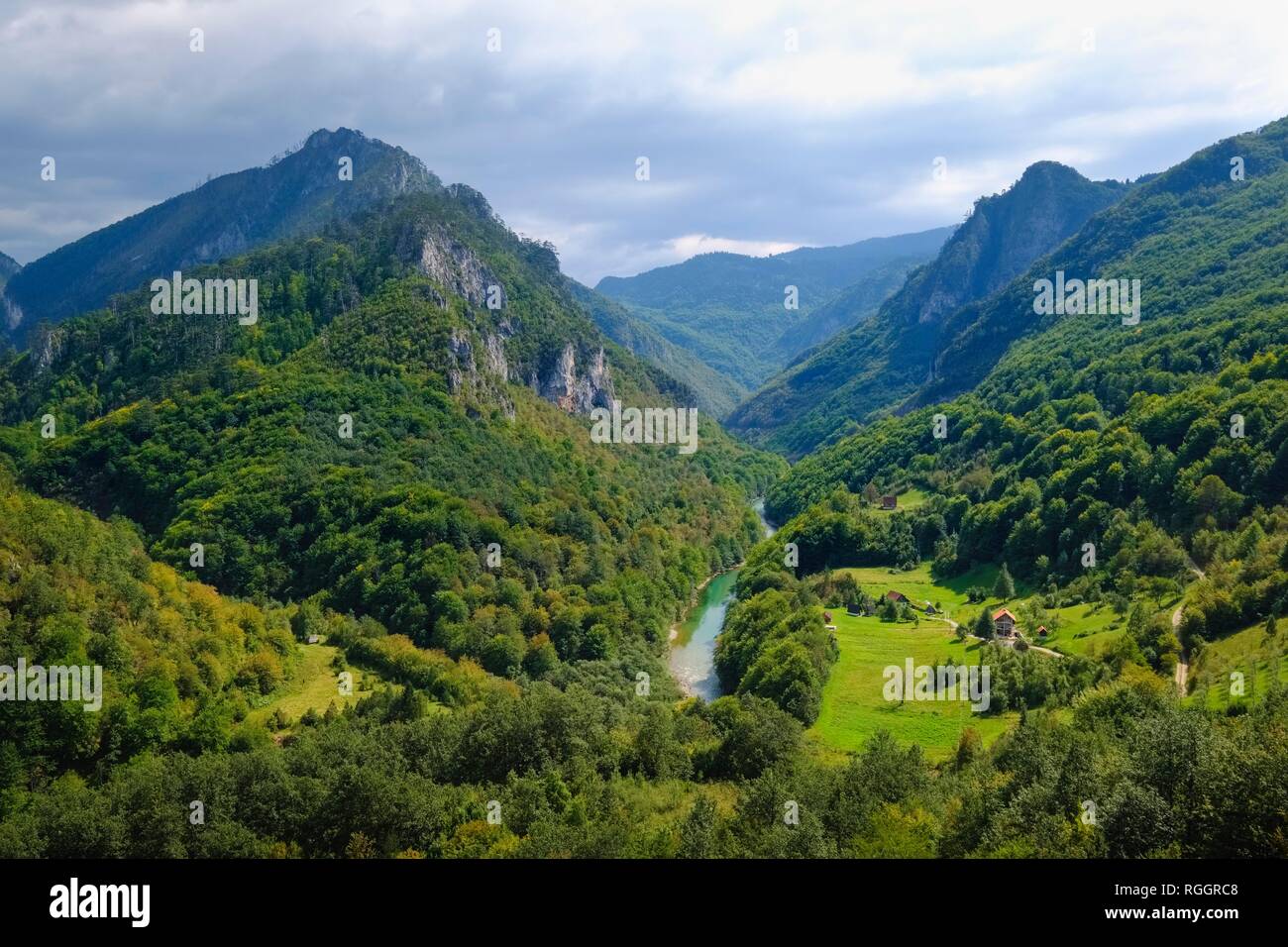 River Tara, Tara Gorge, View from Tara Bridge in Durdevica, Durmitor ...