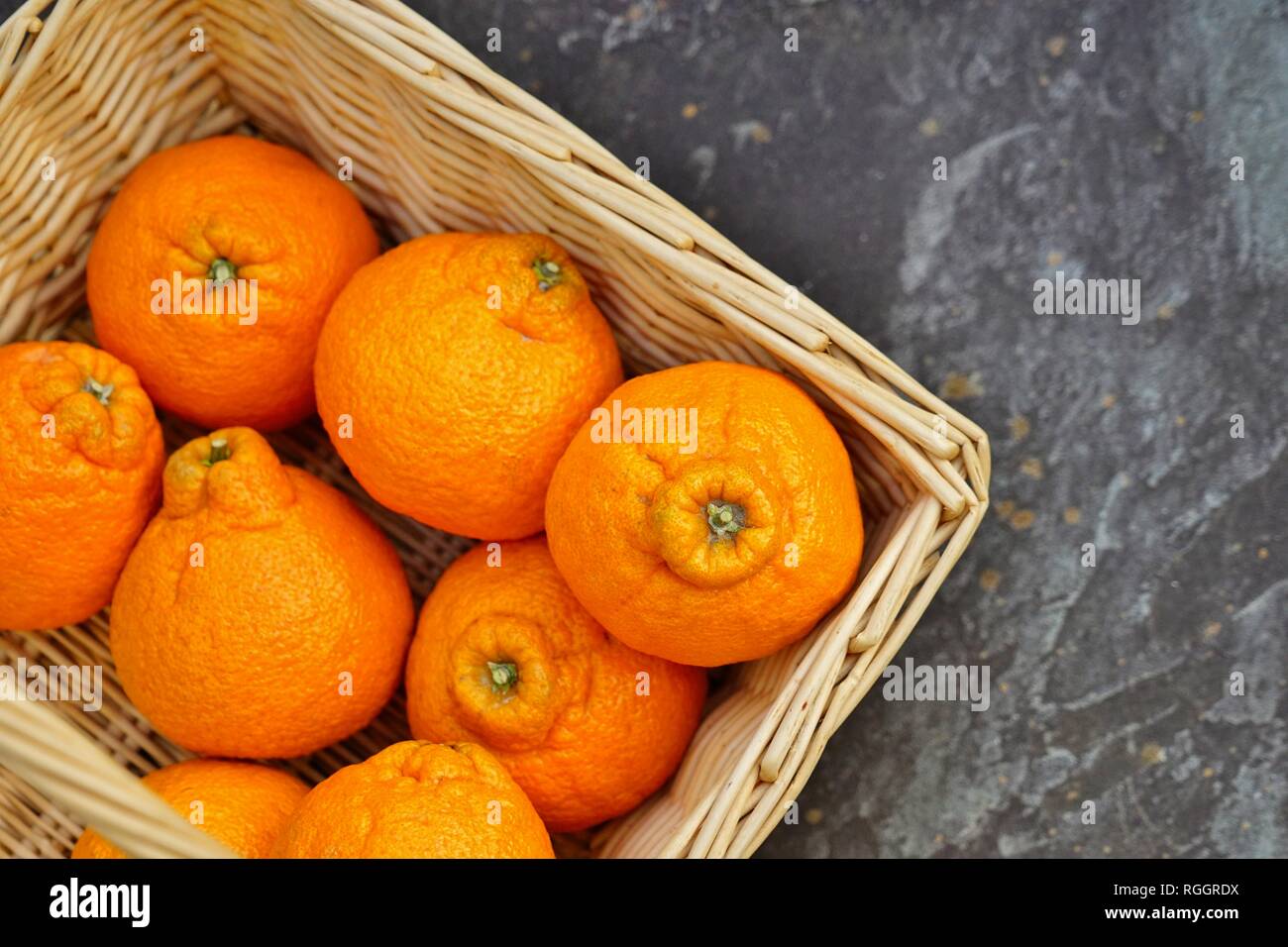 Sumo citrus giant mandarin orange fruit Stock Photo - Alamy