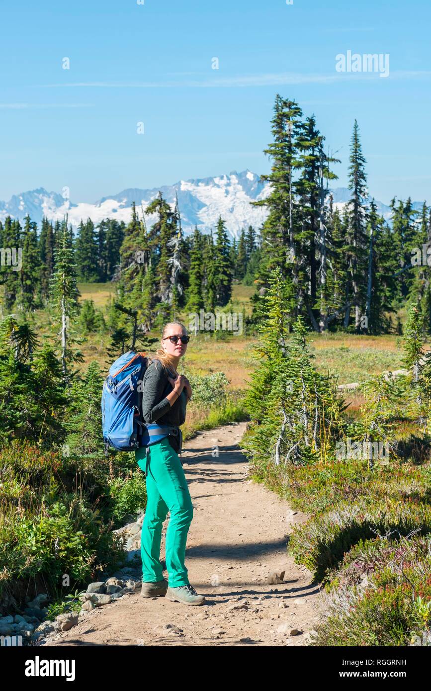 Hiker on hiking trail Panorama Ridge, Forest and Mountains, Garibaldi ...