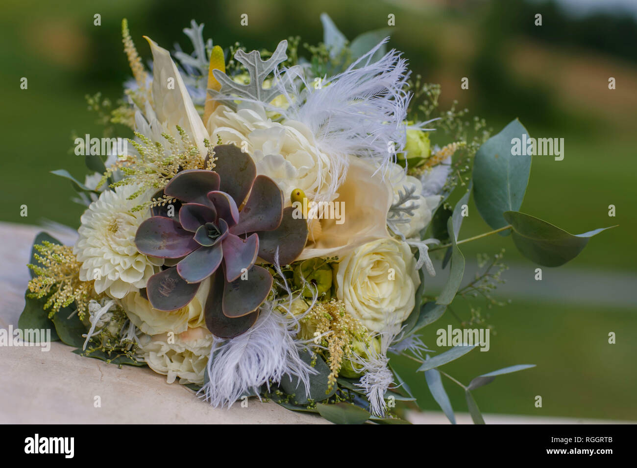 wedding set up Stock Photo - Alamy