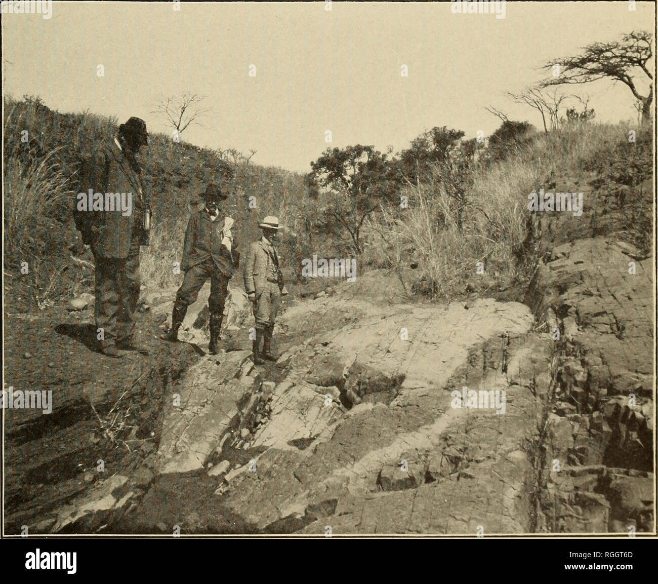 Dwyka tillite hi-res stock photography and images - Alamy