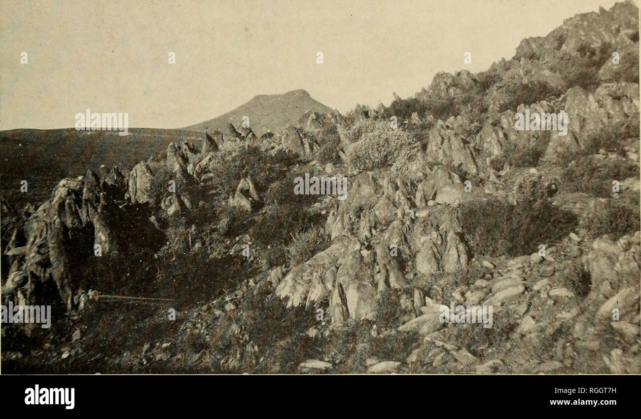 Tillite hi-res stock photography and images - Alamy