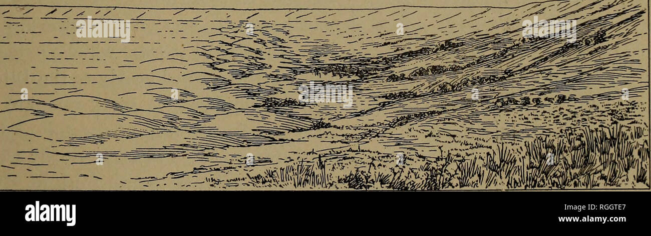 . Bulletin of the Geological Society of America. Geology. DRIFT ON THE ...