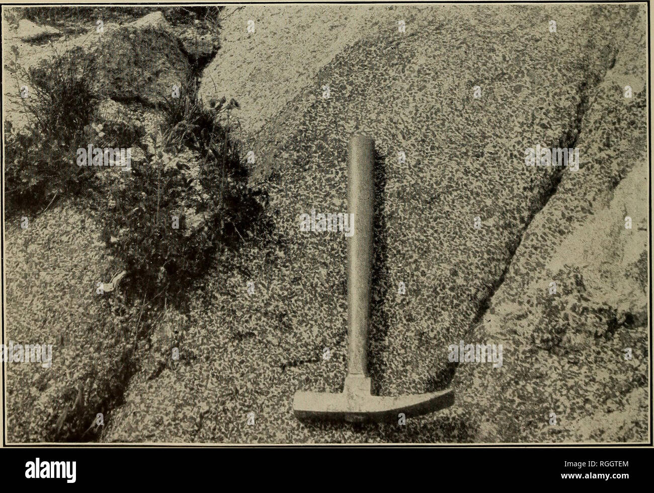 Feldspar phenocrysts hi-res stock photography and images - Alamy