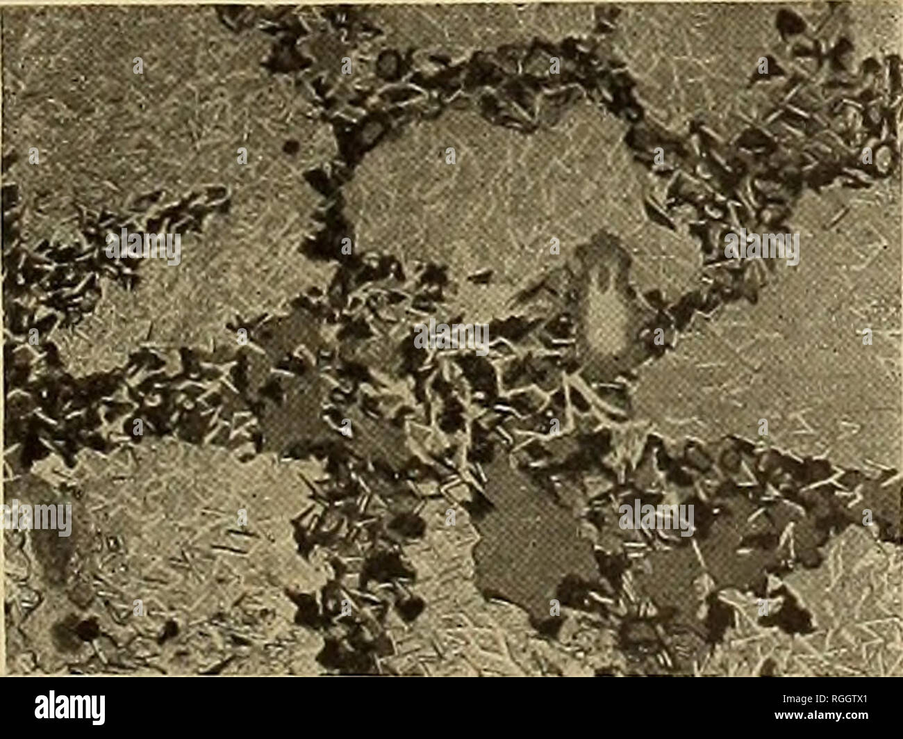 Ophitic texture hi-res stock photography and images - Alamy