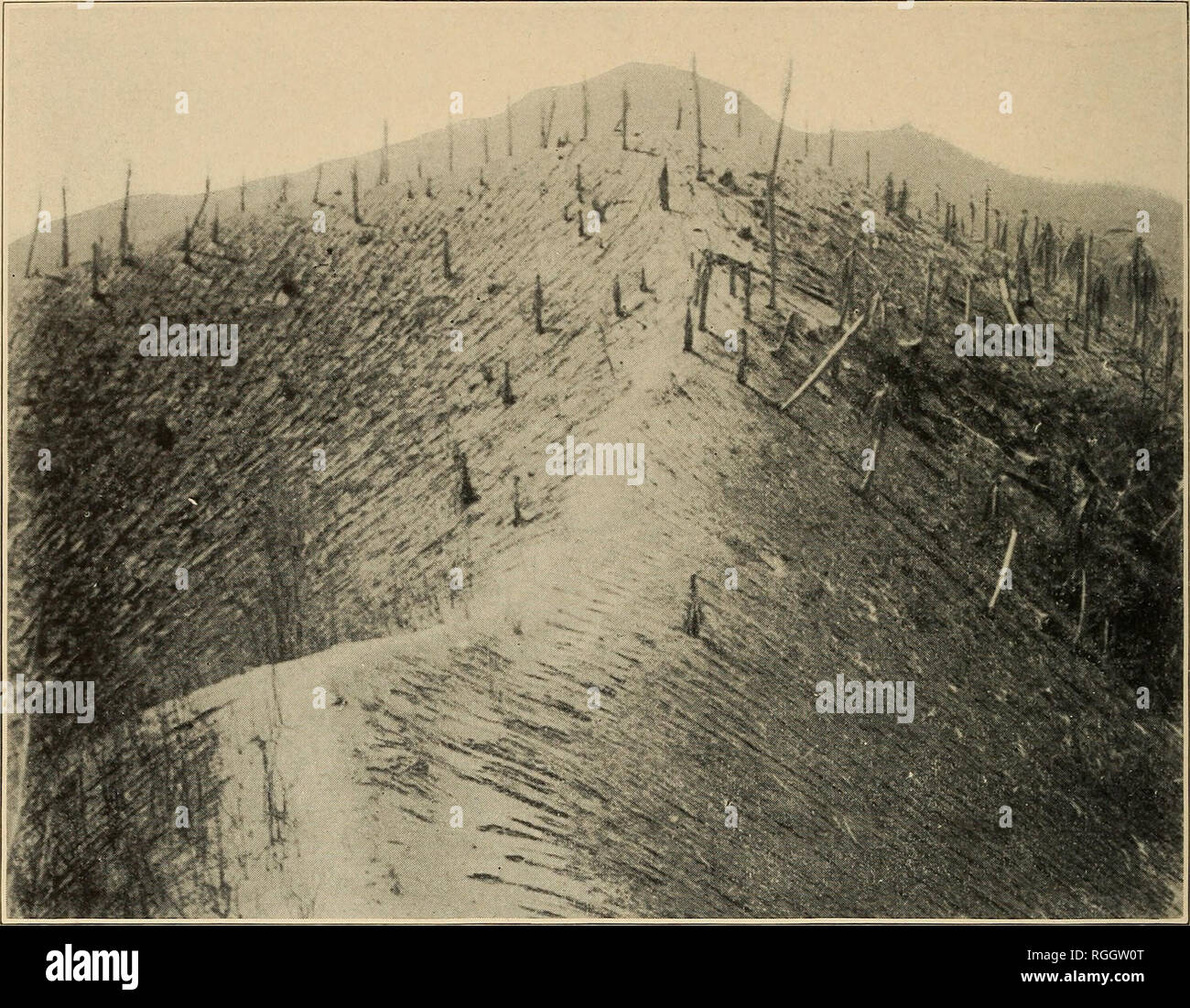 Dendritic drainage hi-res stock photography and images - Alamy