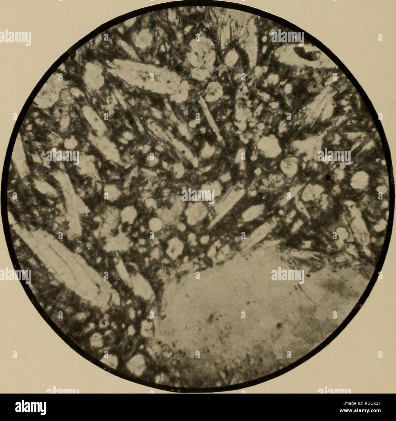 . Bulletin of the Geological Society of America. Geology. Figure 1 ...