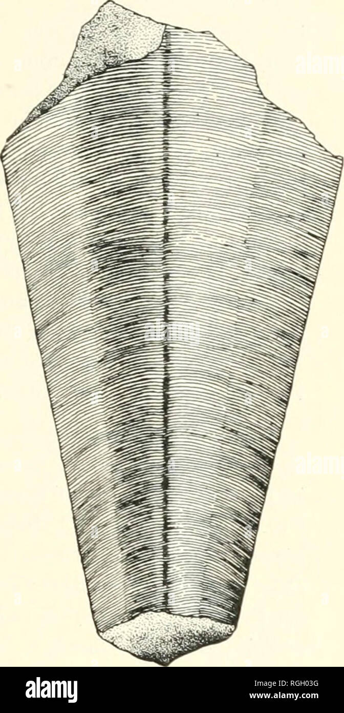 Groove stria hi-res stock photography and images - Alamy