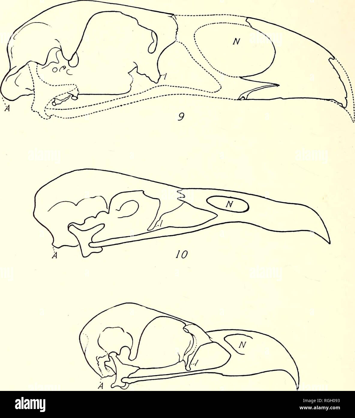 . Bulletin of the Department of Geology. Geology. 316 University of ...