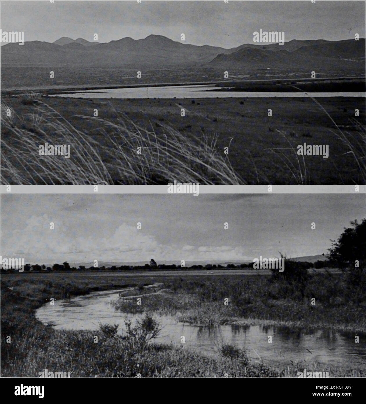 Tuul river hi-res stock photography and images - Alamy