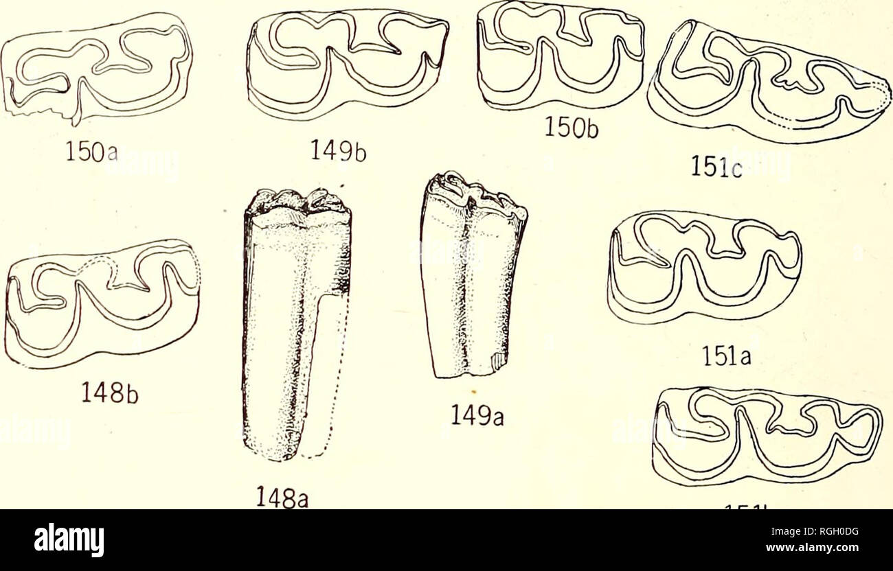 . Bulletin of the Department of Geology. Geology. 400 University of ...