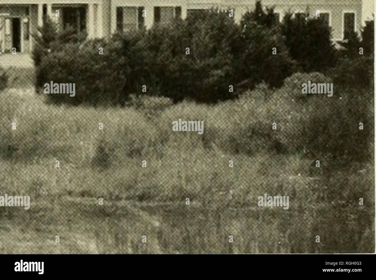 Lor of fish hi-res stock photography and images - Alamy