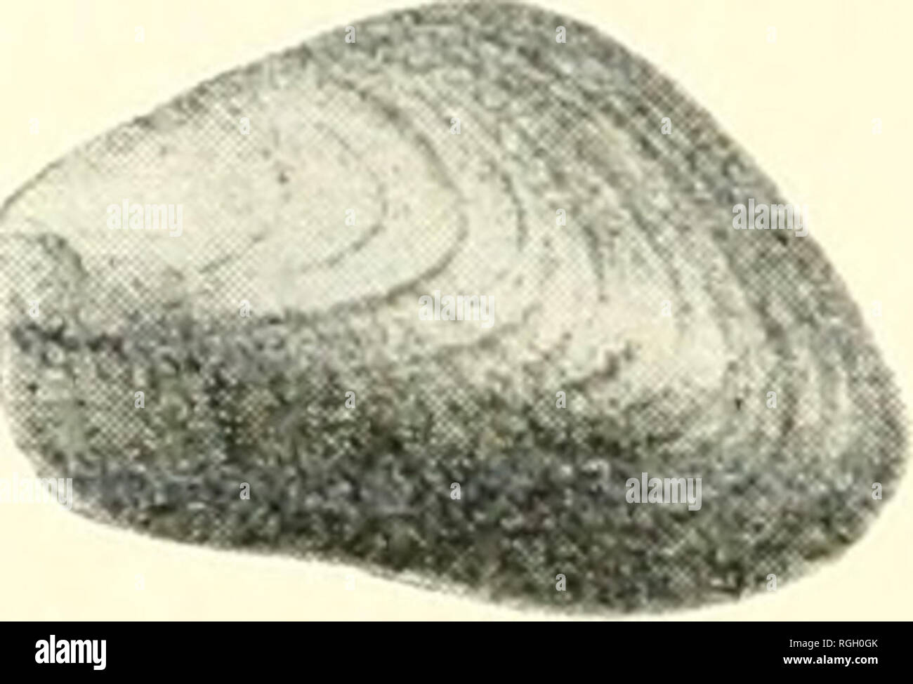 Linear striae hi-res stock photography and images - Alamy