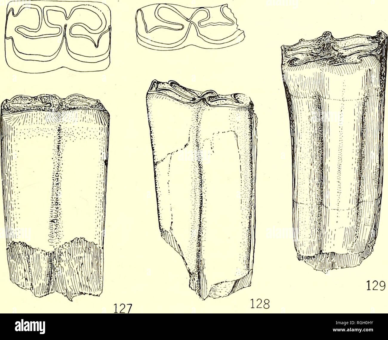 23197 hi-res stock photography and images - Alamy