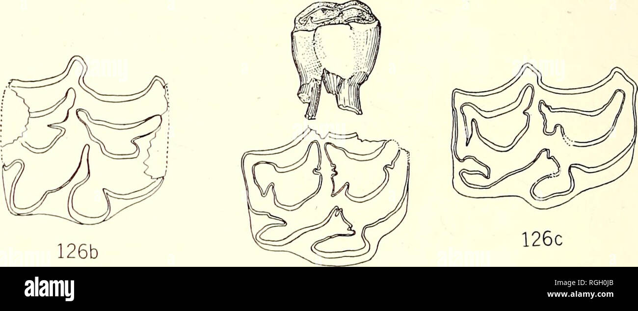 . Bulletin of the Department of Geology. Geology. 392 University of ...