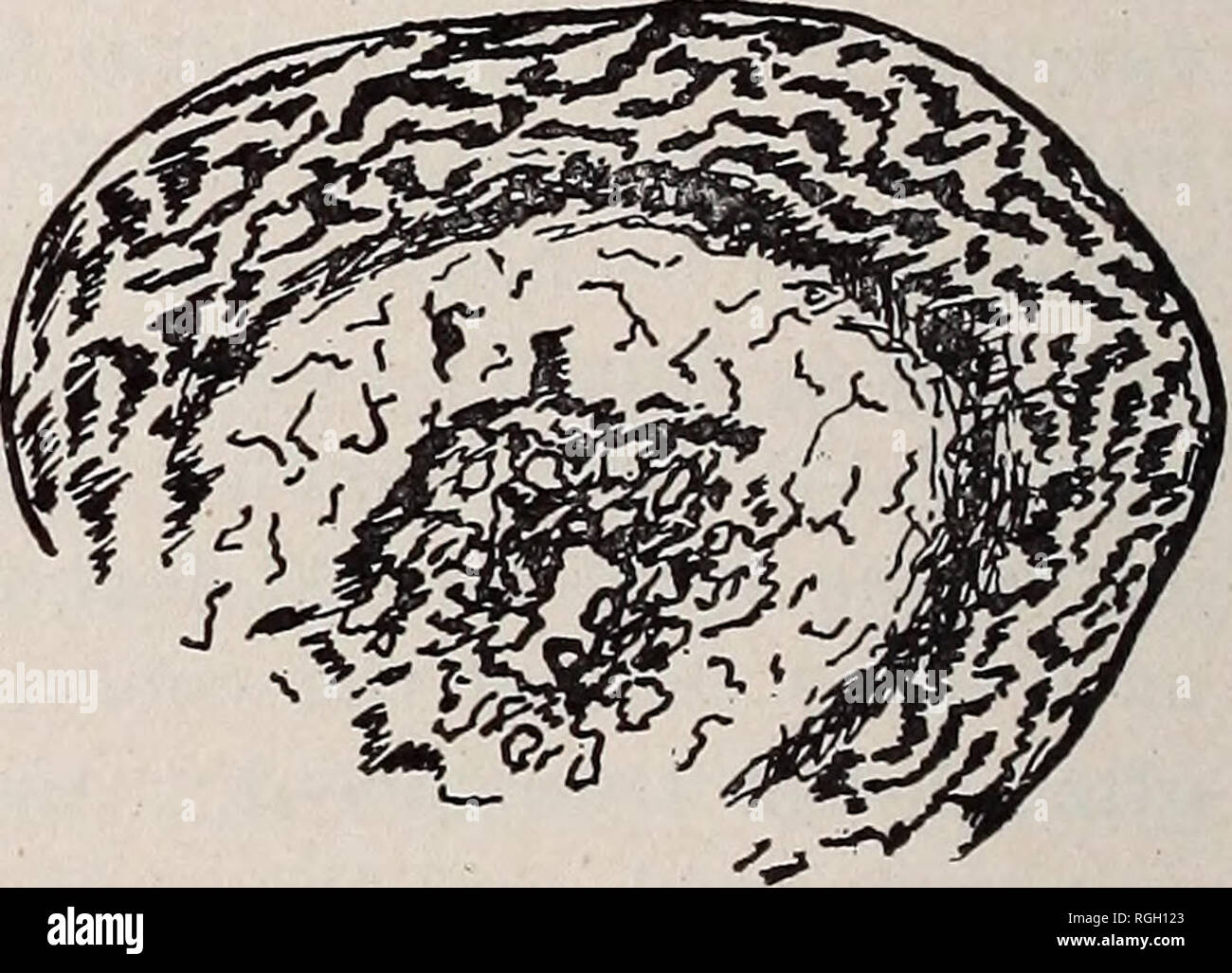 . Bulletin of the Geological Society of America. Geology. F&.3. Flg.G ...