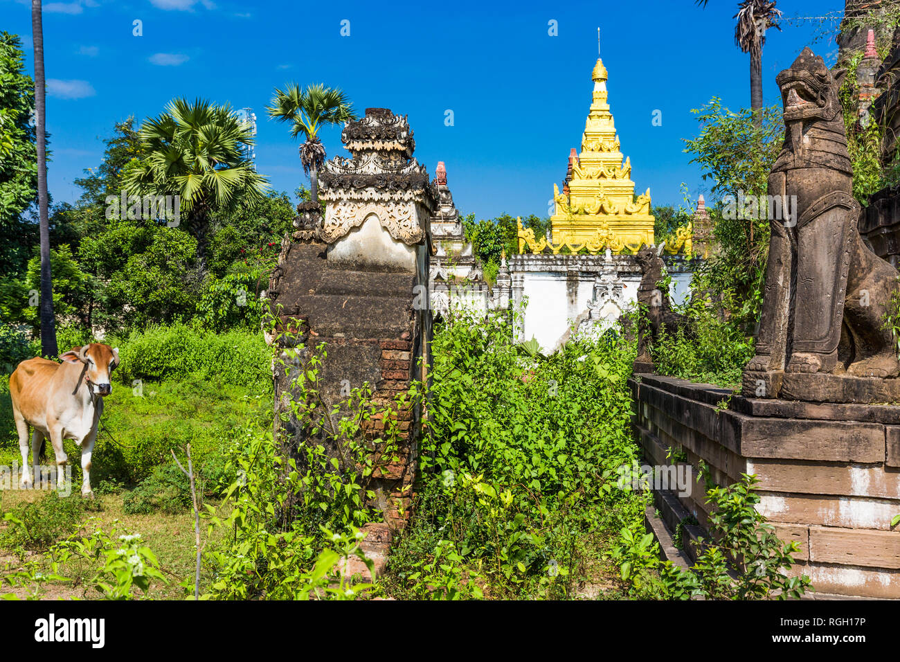 Burmese buddhist sites hi-res stock photography and images - Alamy