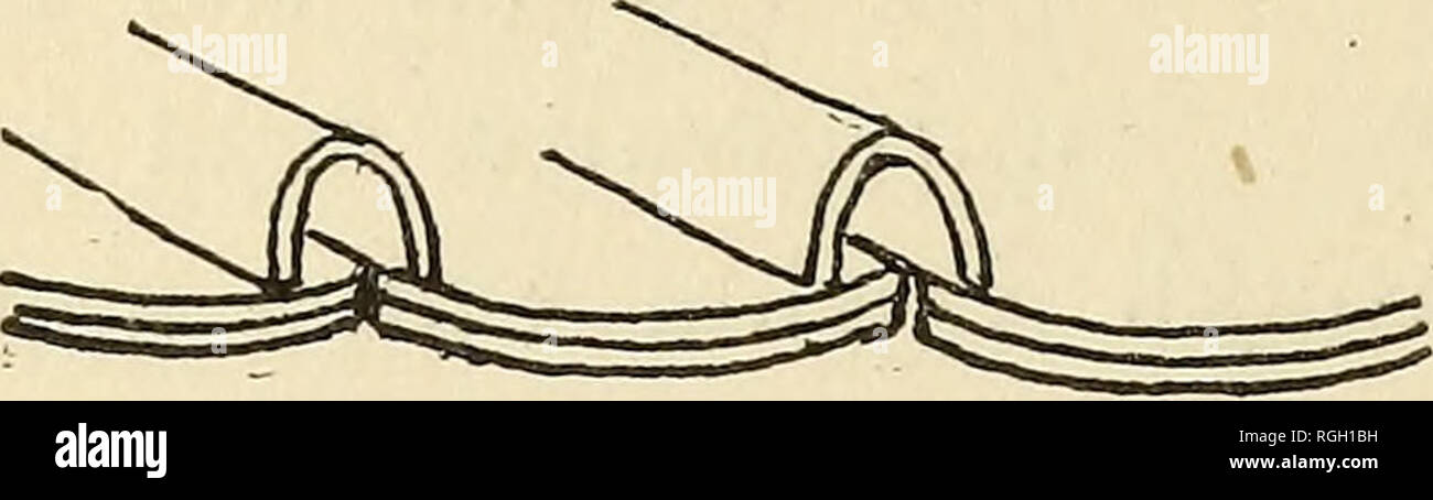 Imbrex tegula hi-res stock photography and images - Alamy