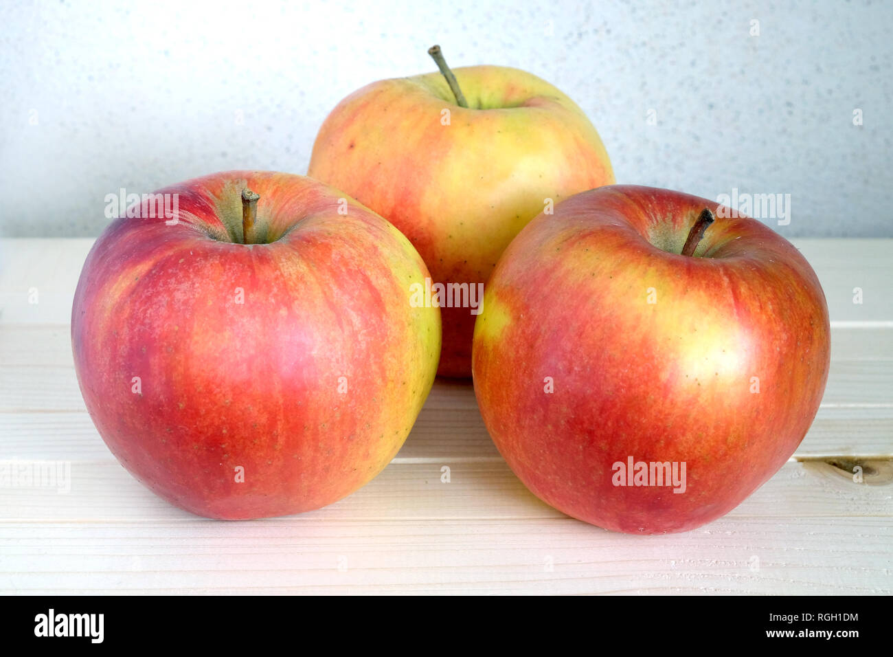 Shelf indoor hi-res stock photography and images - Alamy