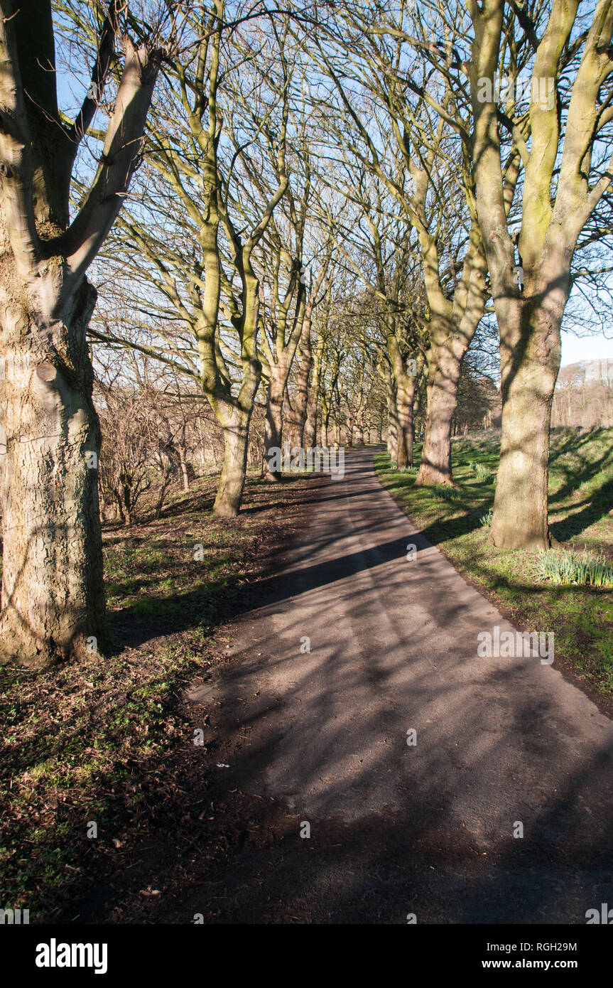 Around the UK - Winter in Avenham Park , Preston Stock Photo - Alamy