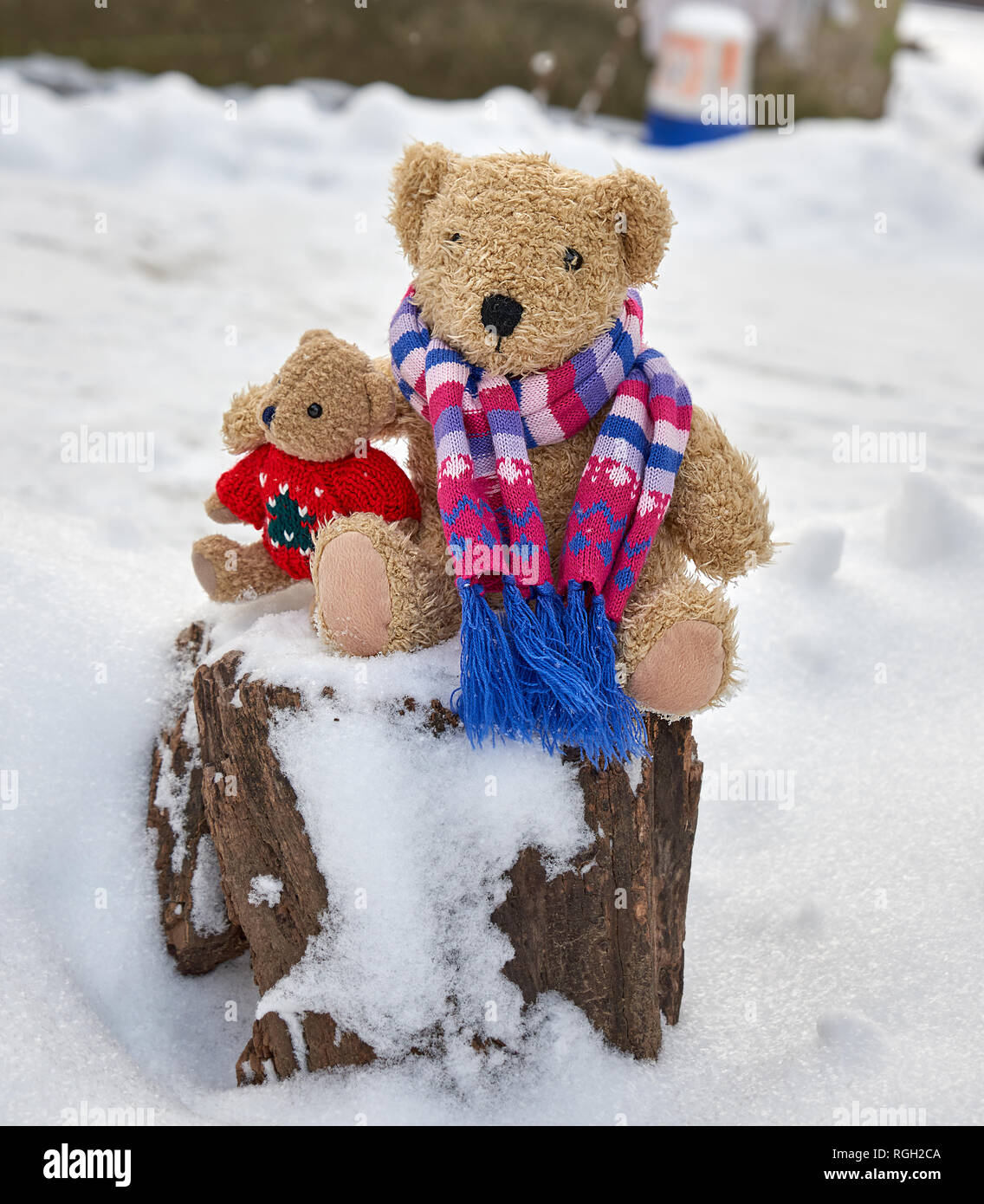 Two teddy bears hugging hi-res stock photography and images - Alamy