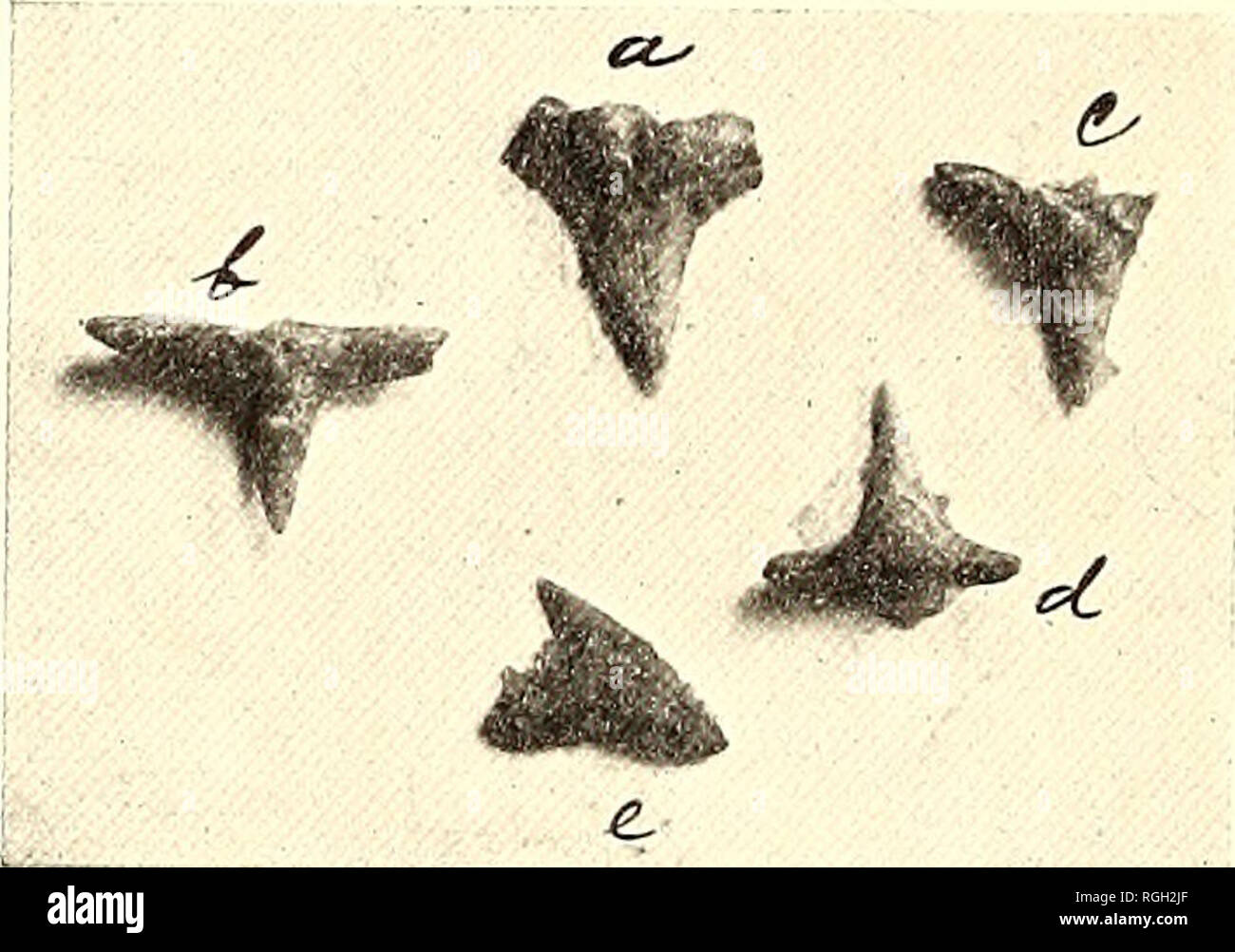 Mr c sharp hi-res stock photography and images - Alamy