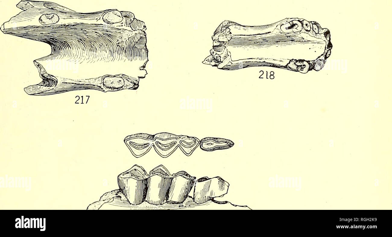 . Bulletin of the Department of Geology. Geology. 219 Figs. 216a and ...
