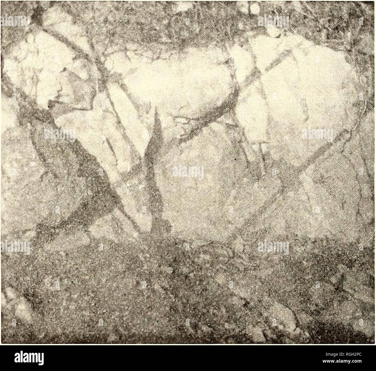 Slaty cleavage hi-res stock photography and images - Alamy