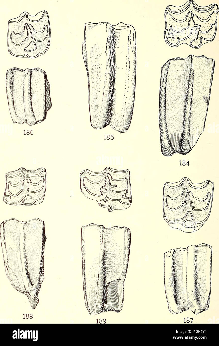 19789 hi-res stock photography and images - Alamy