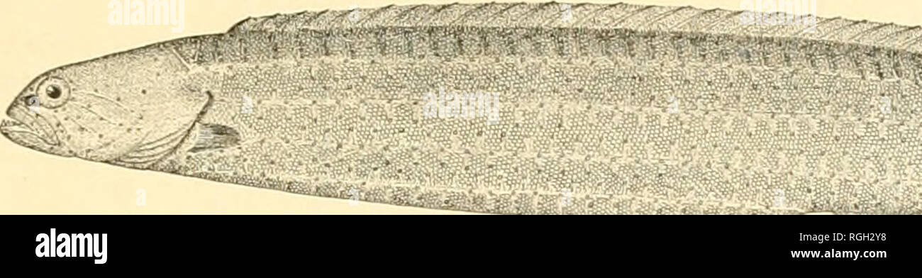 Adak island hi-res stock photography and images - Alamy