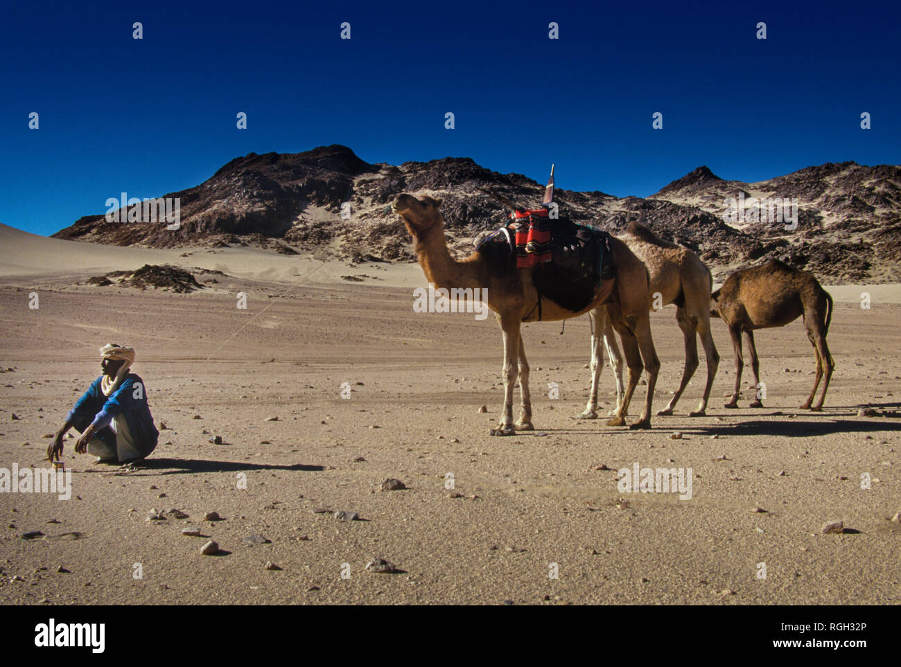 TIMIMOUN, ALGERIA - JANUARY 18, 2002: Unknown populations of the ...