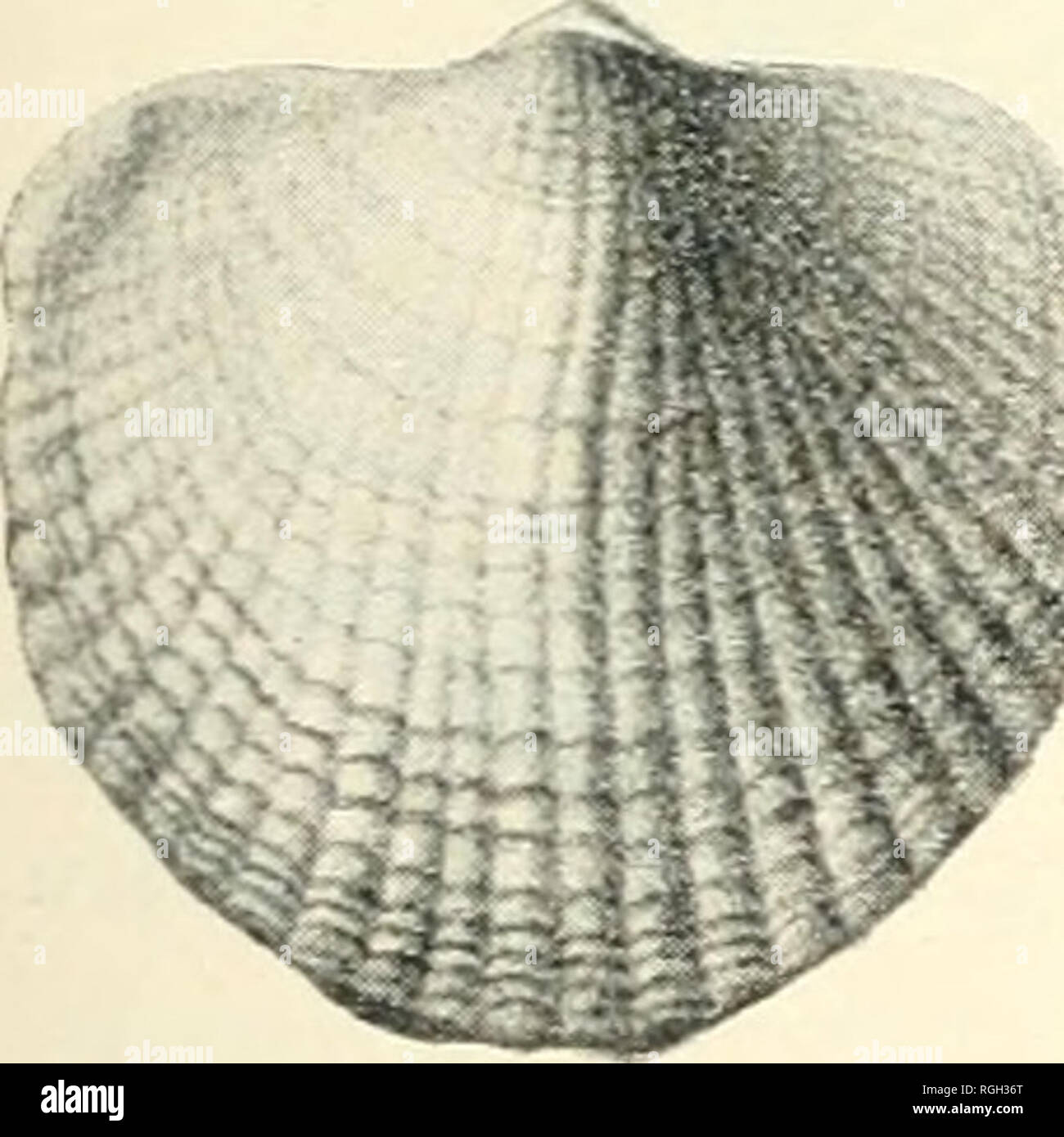 . Bulletin of the Buffalo Society of Natural Sciences. Natural history ...