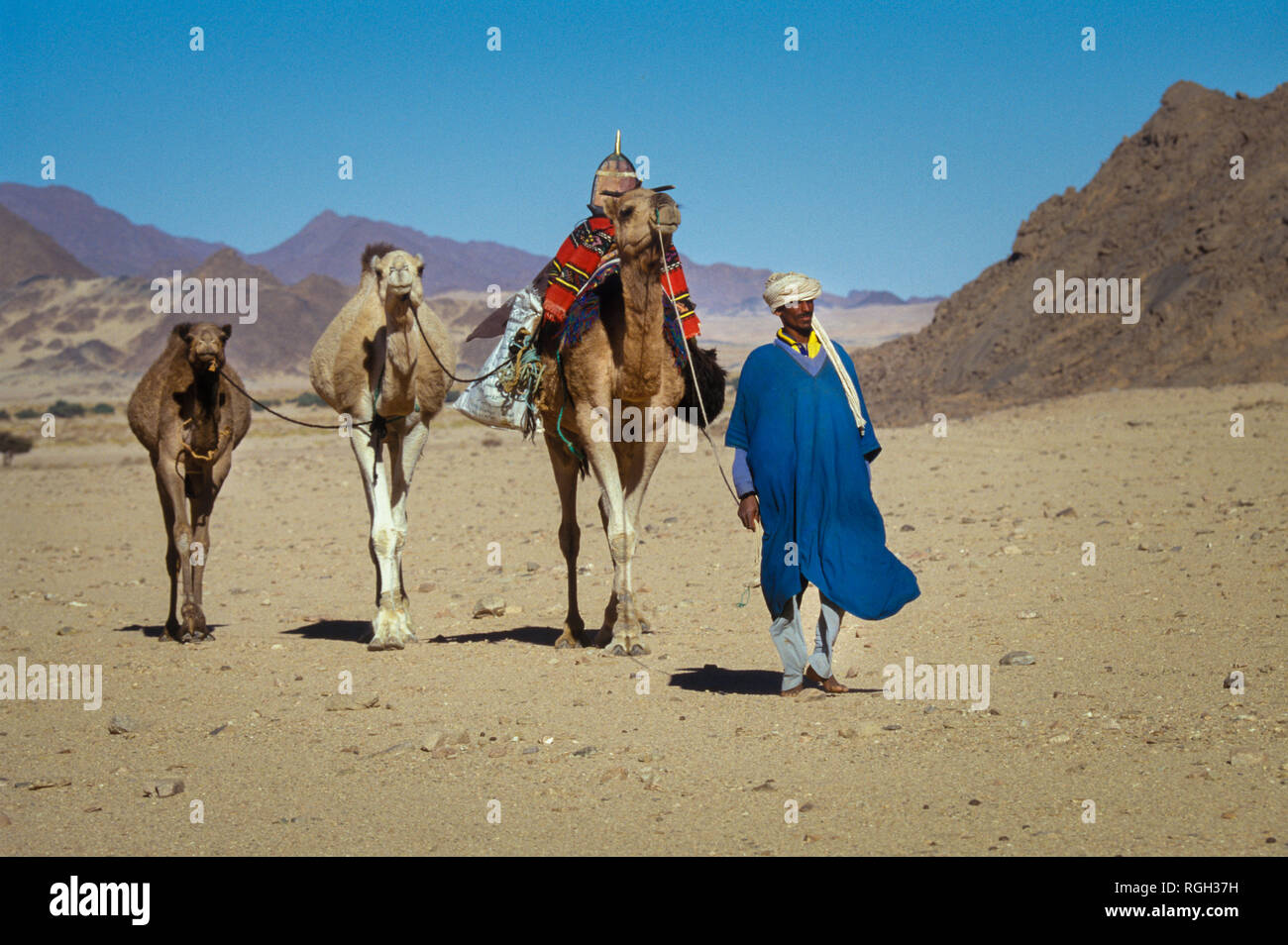 Algeria timimoun sahara desert hi-res stock photography and images - Alamy