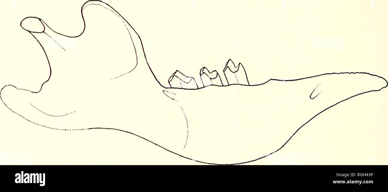 . Bulletin of the Department of Geology. Geology. 150 University of ...