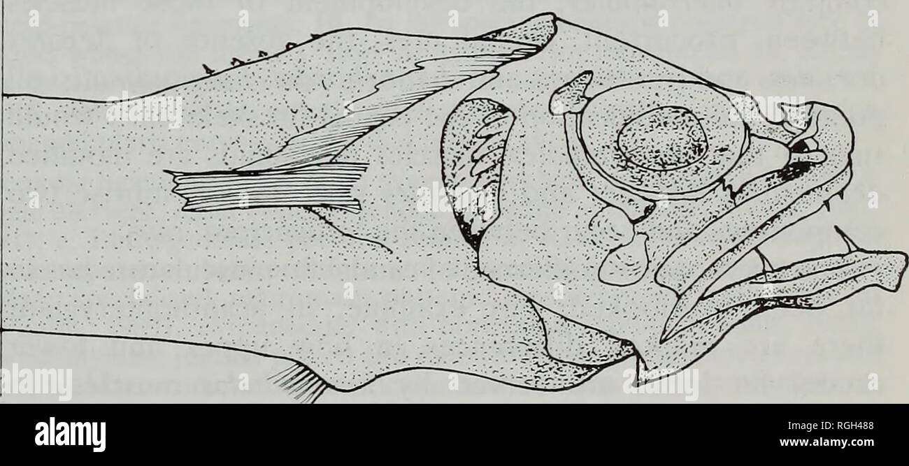 21 7 1969 hi-res stock photography and images - Alamy