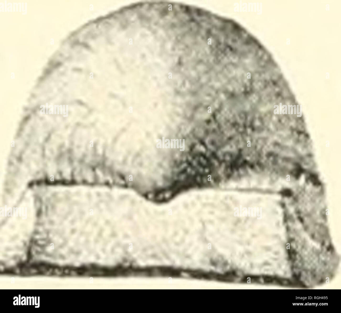 . Bulletin of the Buffalo Society of Natural Sciences. Natural history ...