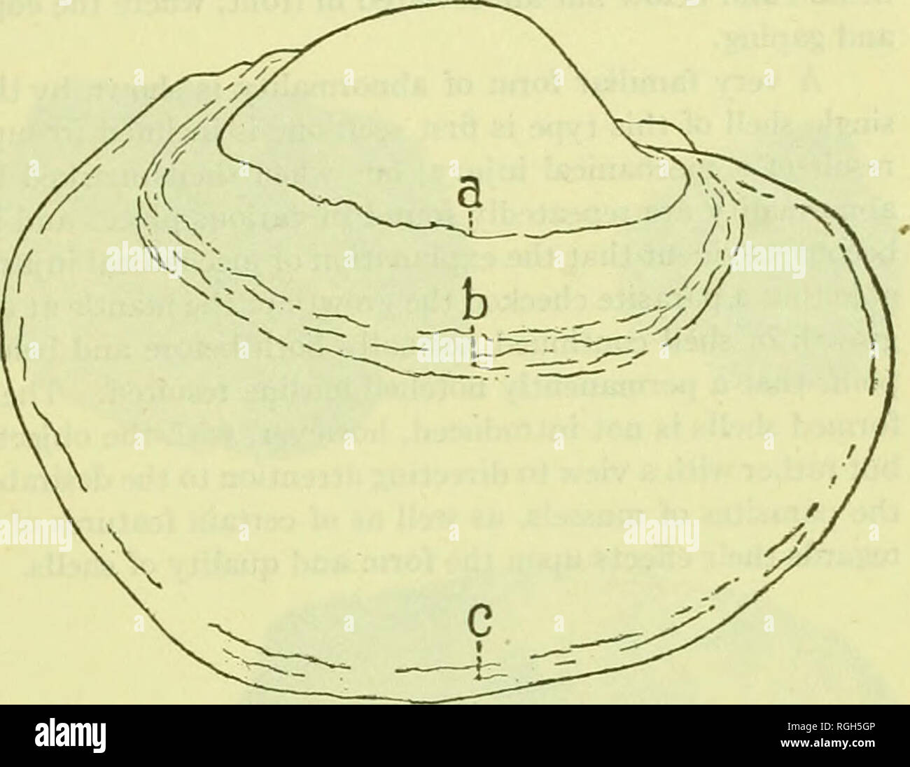 Malformed fish hi-res stock photography and images - Alamy
