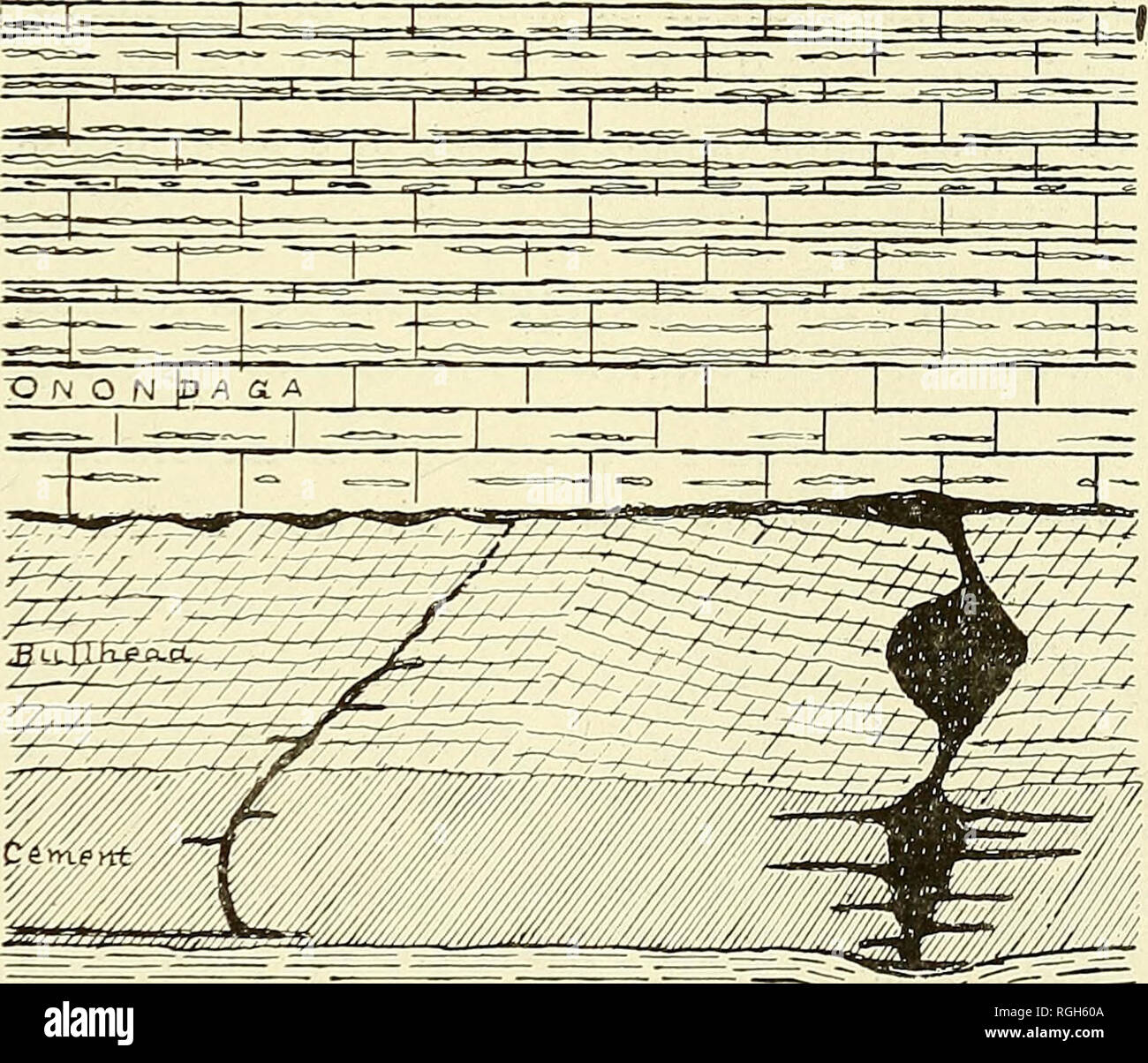 . Bulletin of the Buffalo Society of Natural Sciences. Natural history ...