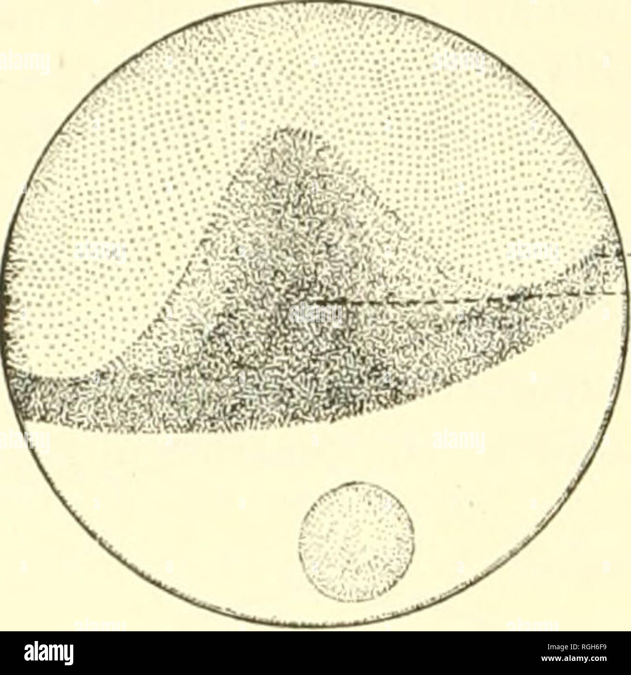 . Bulletin of the Bureau of Fisheries. Fisheries; Fish culture. 8 ...