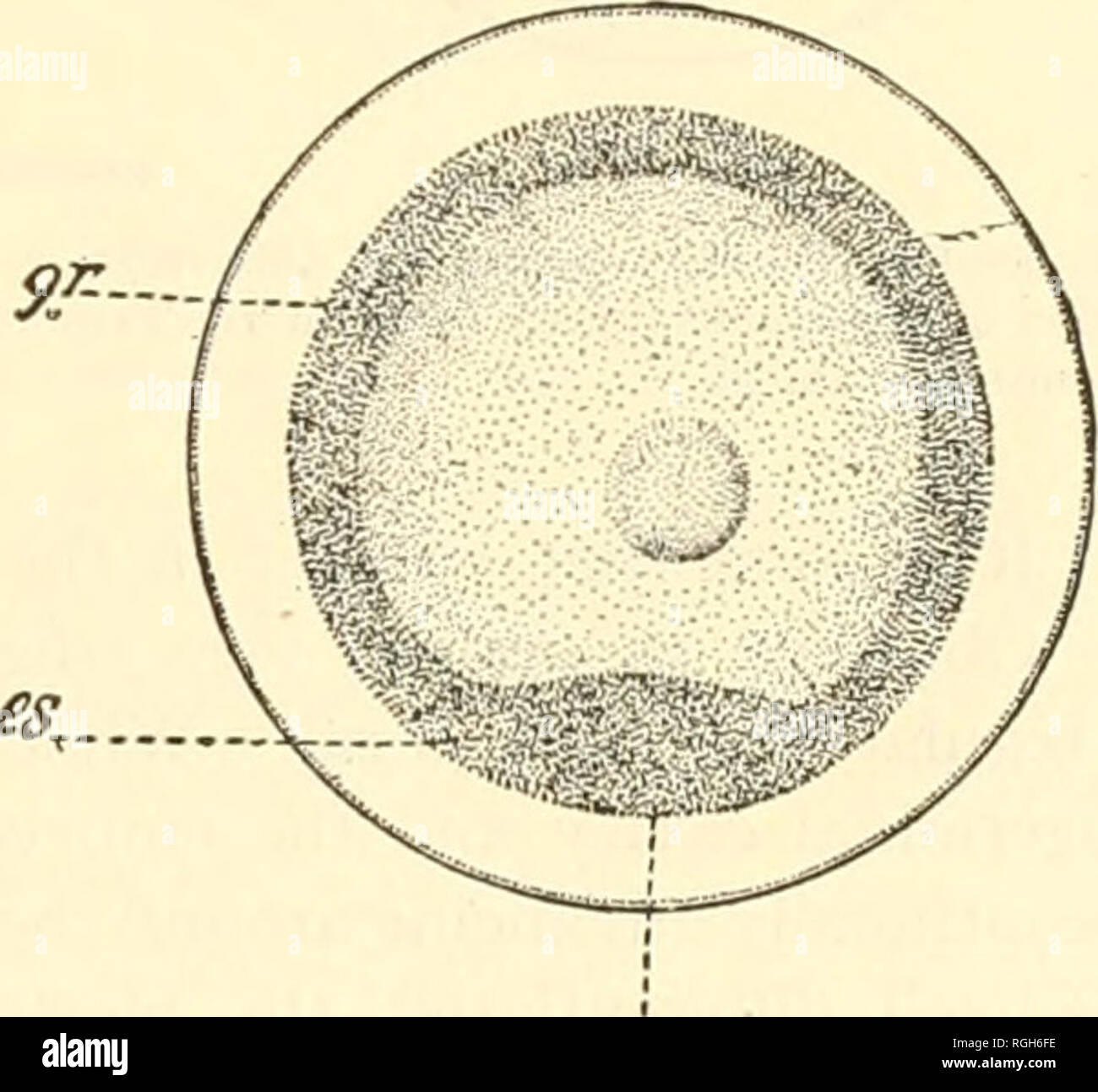 . Bulletin of the Bureau of Fisheries. Fisheries; Fish culture. â ^. PP ...