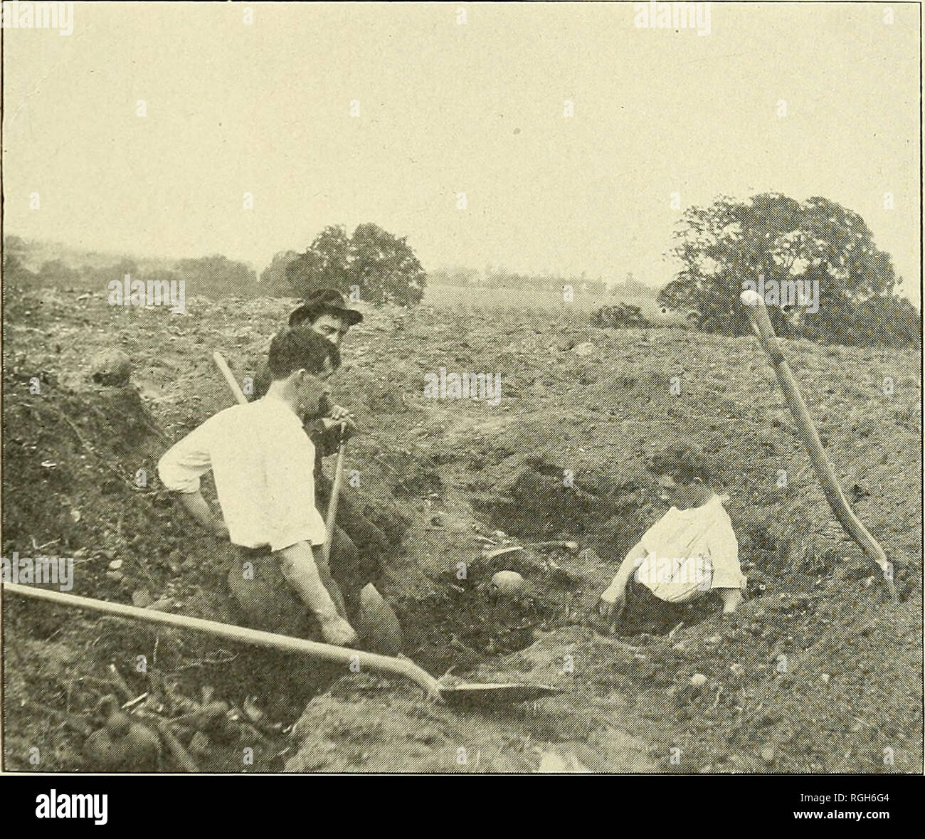 Orangeport hi-res stock photography and images - Alamy