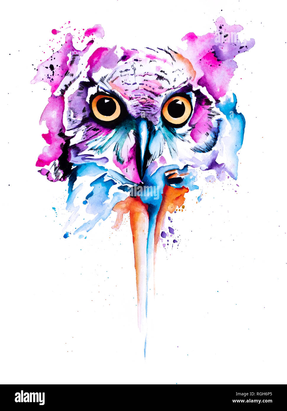 Watercolor Owl Paintings
