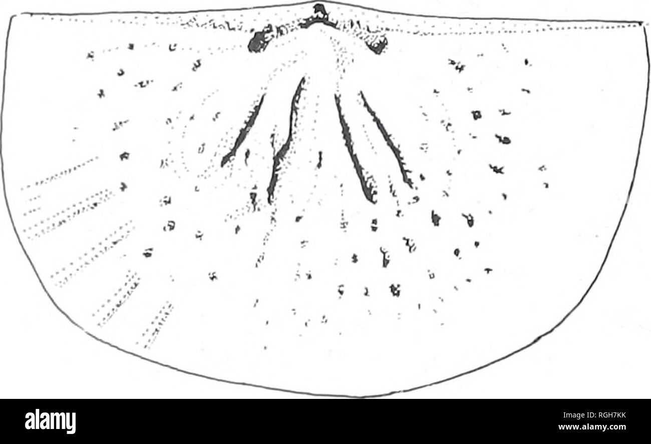 Podolia village hi-res stock photography and images - Alamy