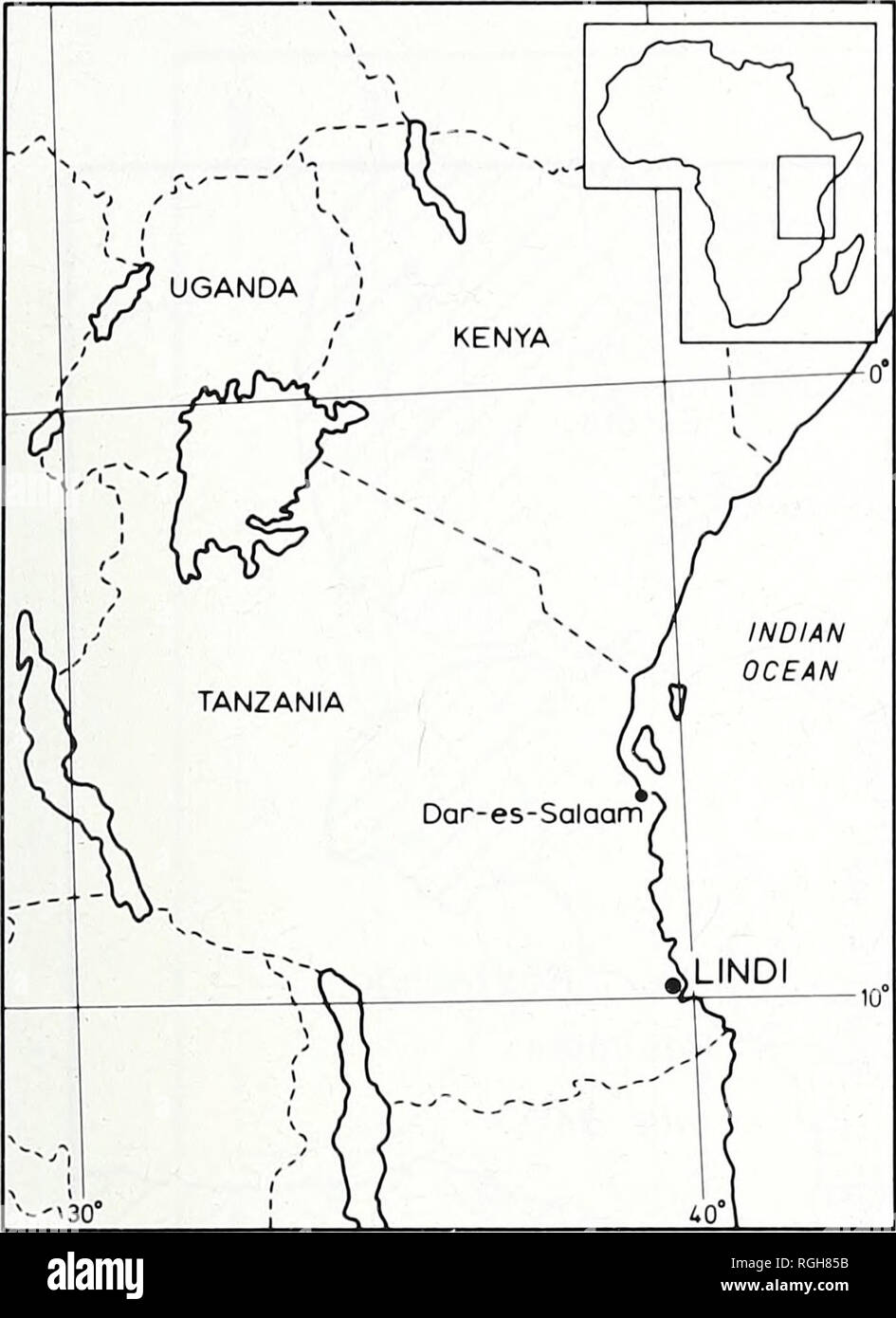 . Bulletin of the British Museum (Natural History). Geology.. TERTIARY ...