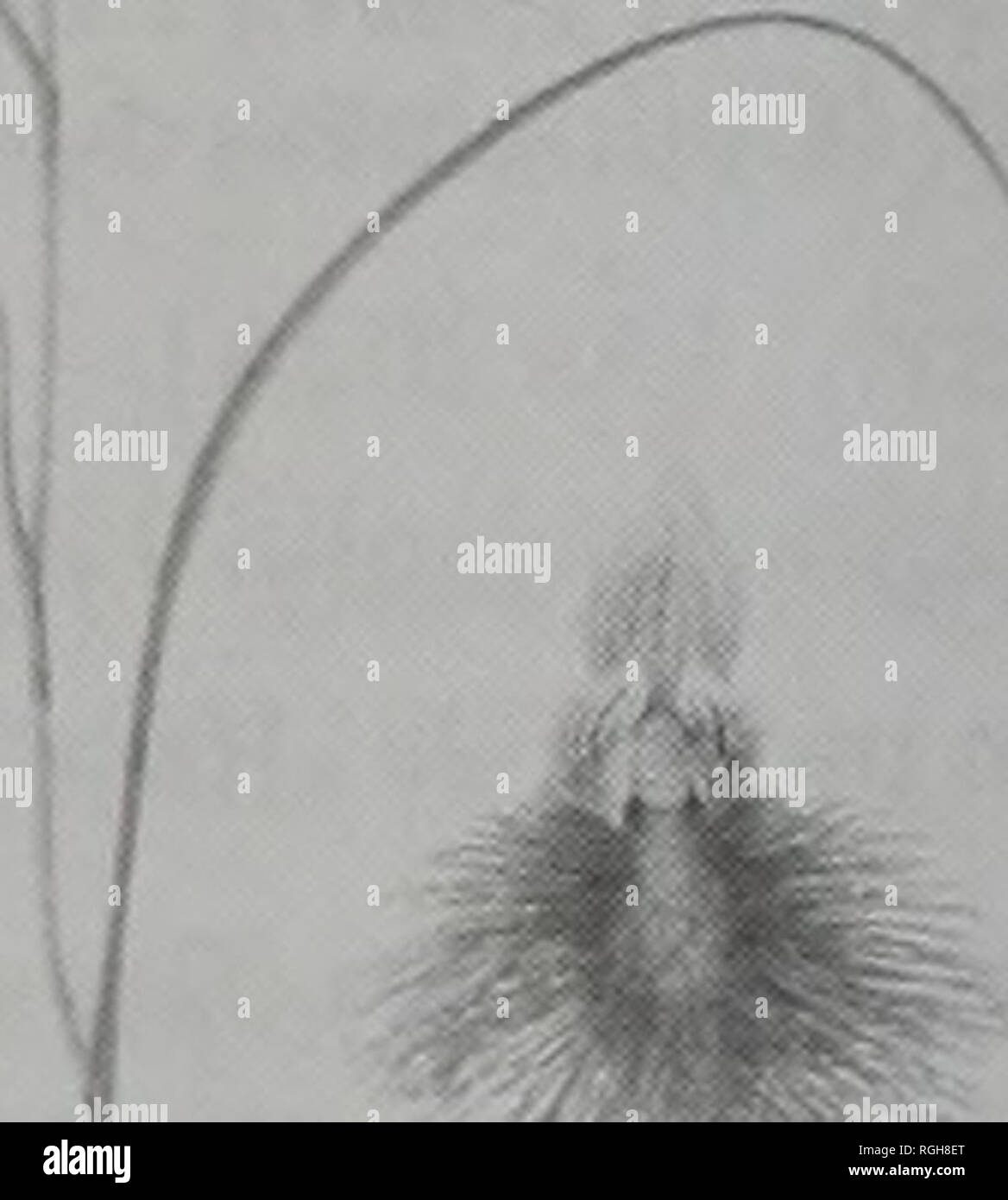 203a hi-res stock photography and images - Alamy