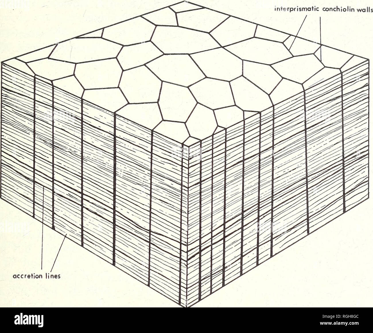 18 2 1858 1 5 1924 hi-res stock photography and images - Alamy