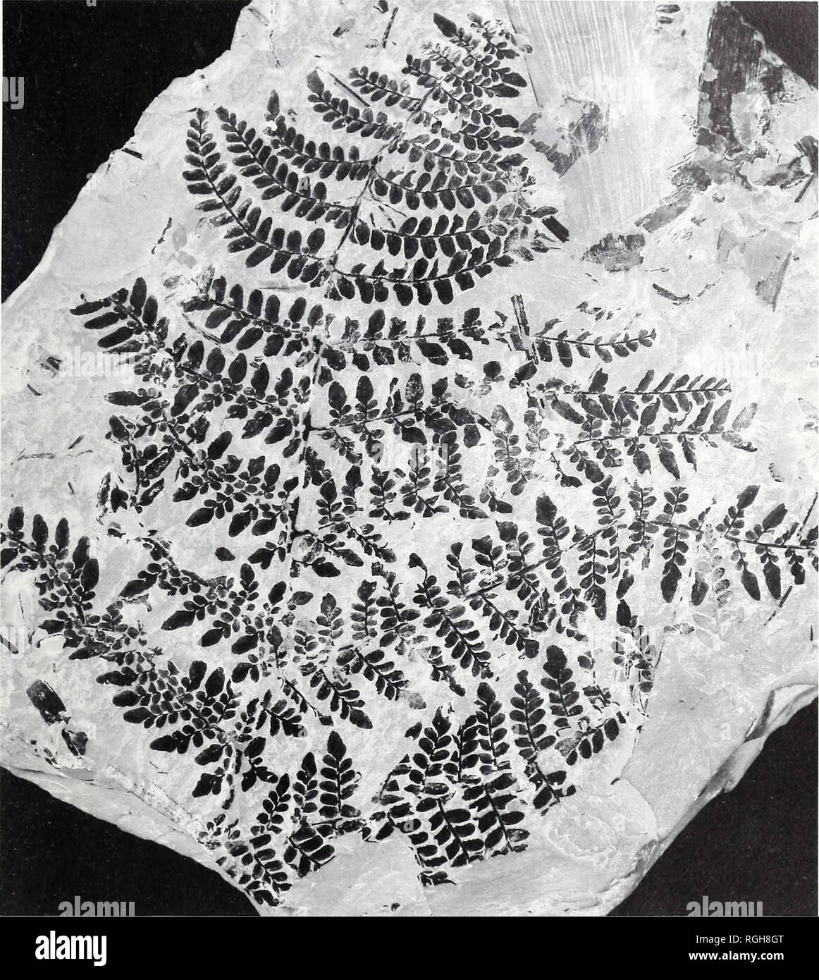 X Tend High Resolution Stock Photography and Images - Alamy