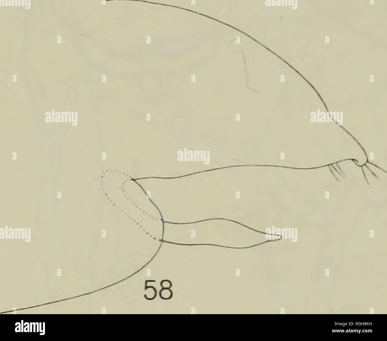 Sickle shaped plate hi-res stock photography and images - Alamy